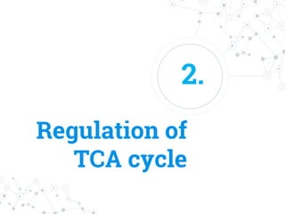 Regulation of Glycolysis and TCA cycle | PPTX