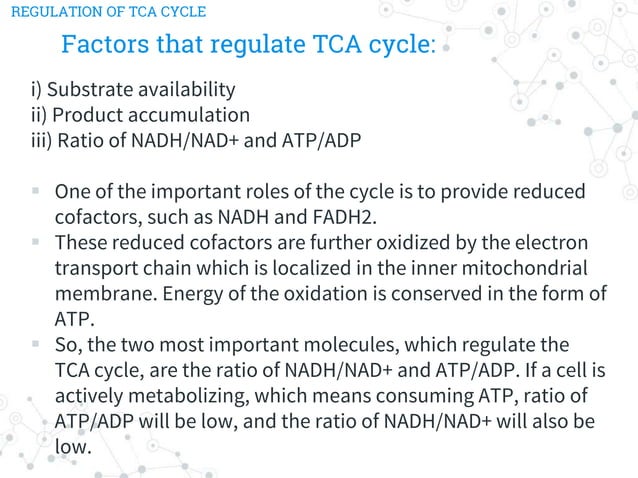Regulation of Glycolysis and TCA cycle | PPTX | Endocrine and Metabolic ...