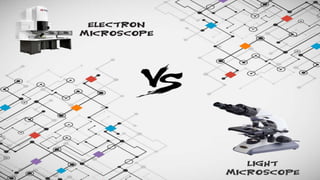 Light Microscope and Electron Microscope [Best one] | PPTX | Chemistry ...