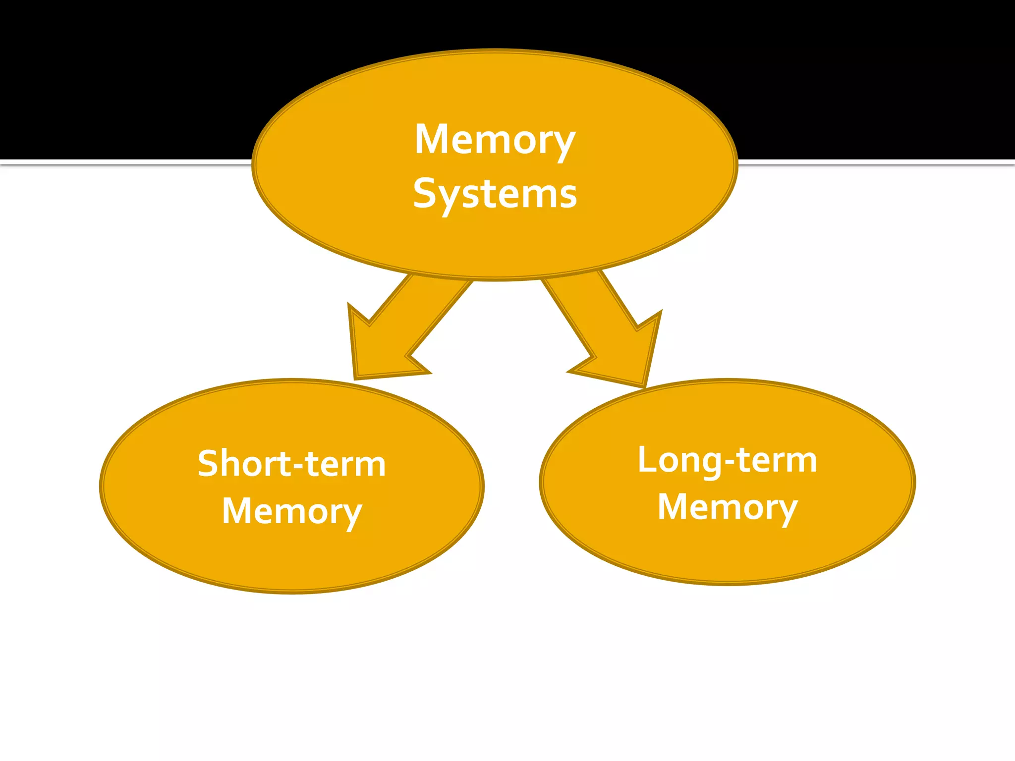 Magic Number 7 | PPTX