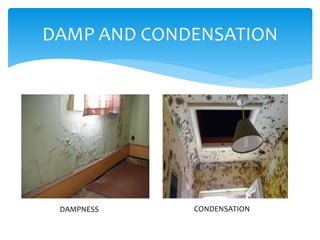 dampness in structure by umar khan | PPTX