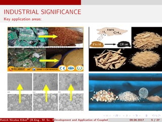 Development and application of coupled discrete and continuum models in solid particles ...