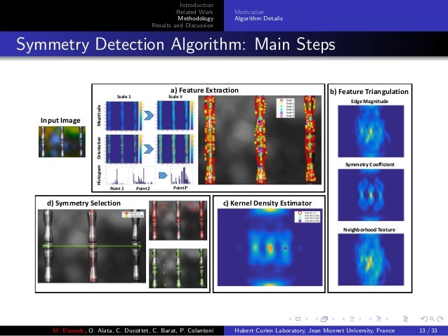 Multiple Reflection Symmetry Detection Via Linear Directional Kernel