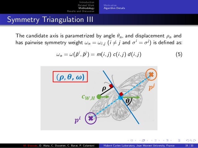 Multiple Reflection Symmetry Detection Via Linear Directional Kernel