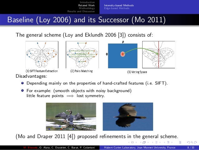 Multiple Reflection Symmetry Detection Via Linear Directional Kernel