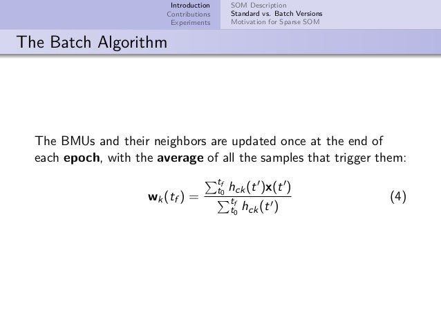 Efficient Implementation Of Self Organizing Map For Sparse Input Data