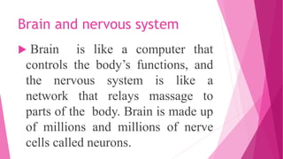 Brain and Nervous System | PPTX