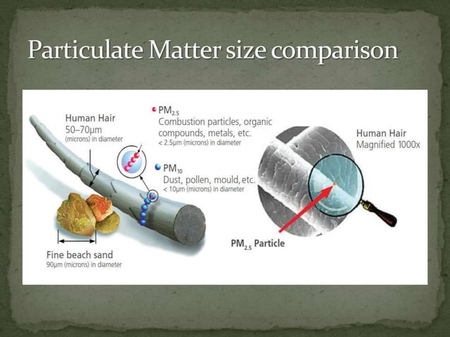 Particulate Matter Or Particle Pollution | PPTX