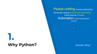 The Offensive Python: Practical Python for Penetration Testing | PPT