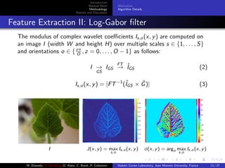 Wavelet-based Reflection Symmetry Detection via Textural and Color Histograms | PPT