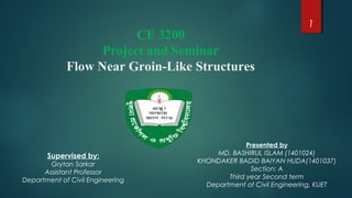 Presentation on groin like structure | PPT
