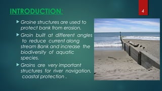 Presentation on groin like structure | PPT