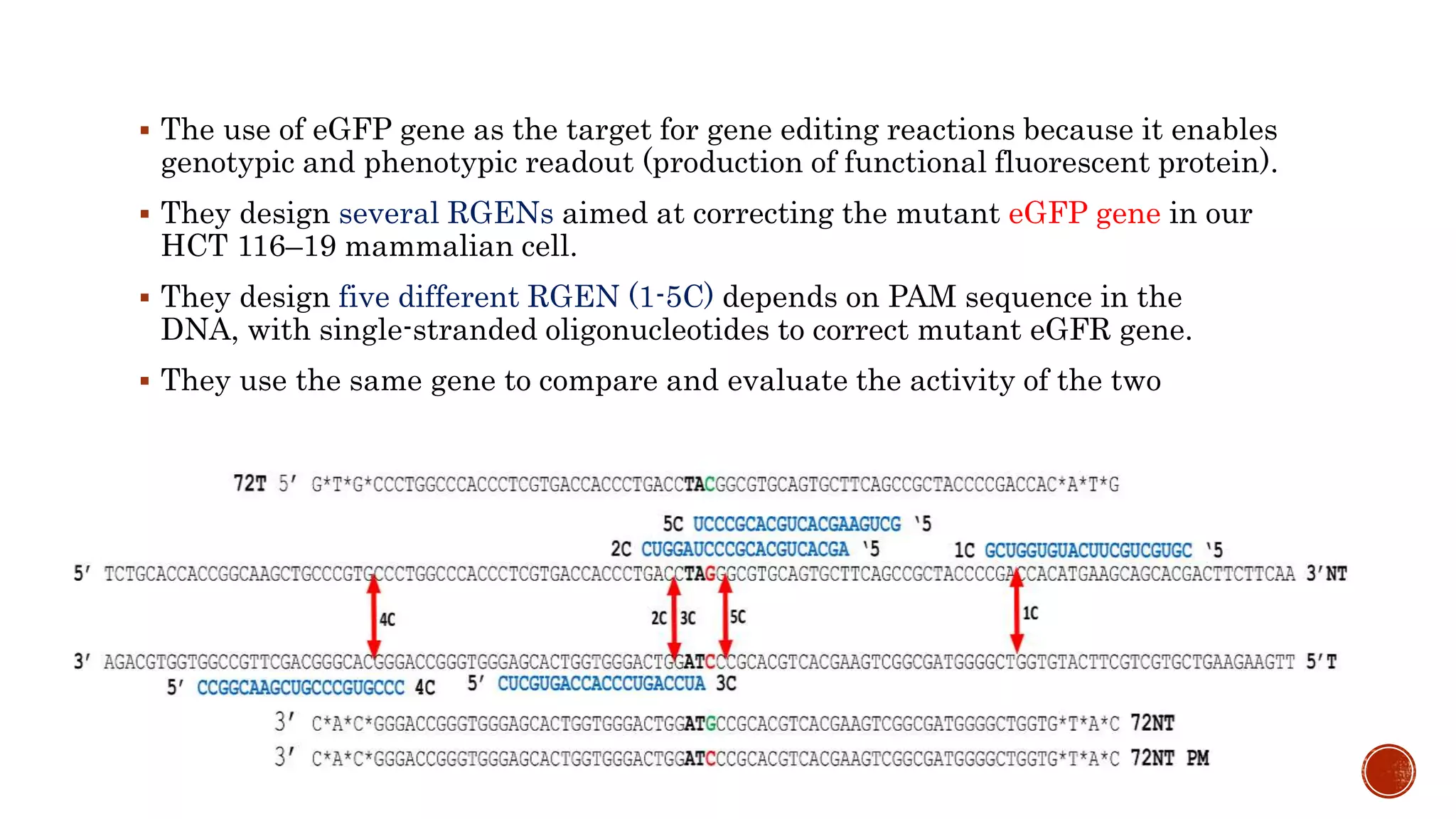 The future of gene editing | PPTX