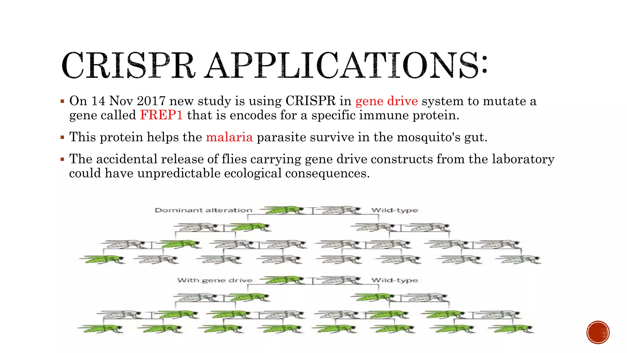 The future of gene editing | PPTX