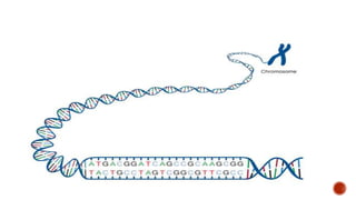 The future of gene editing | PPTX
