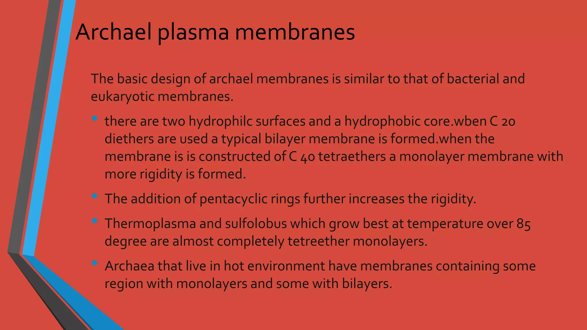 Morphology and cell structure of Archea | PPTX