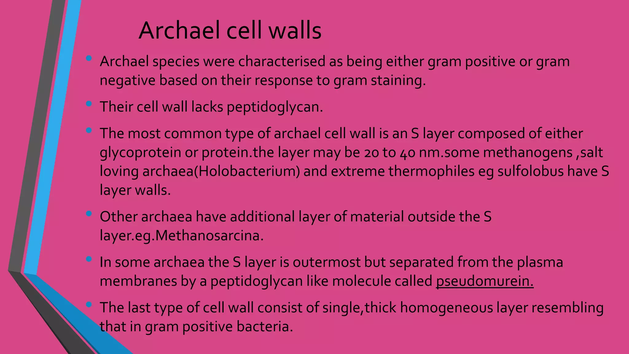 Morphology and cell structure of Archea | PPTX