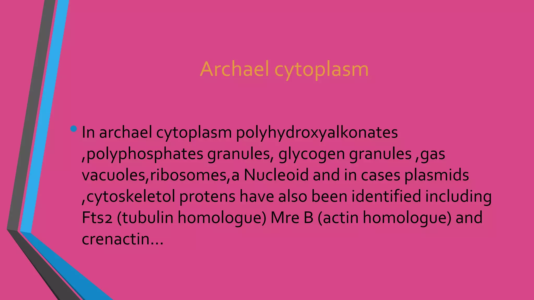 Morphology and cell structure of Archea | PPTX