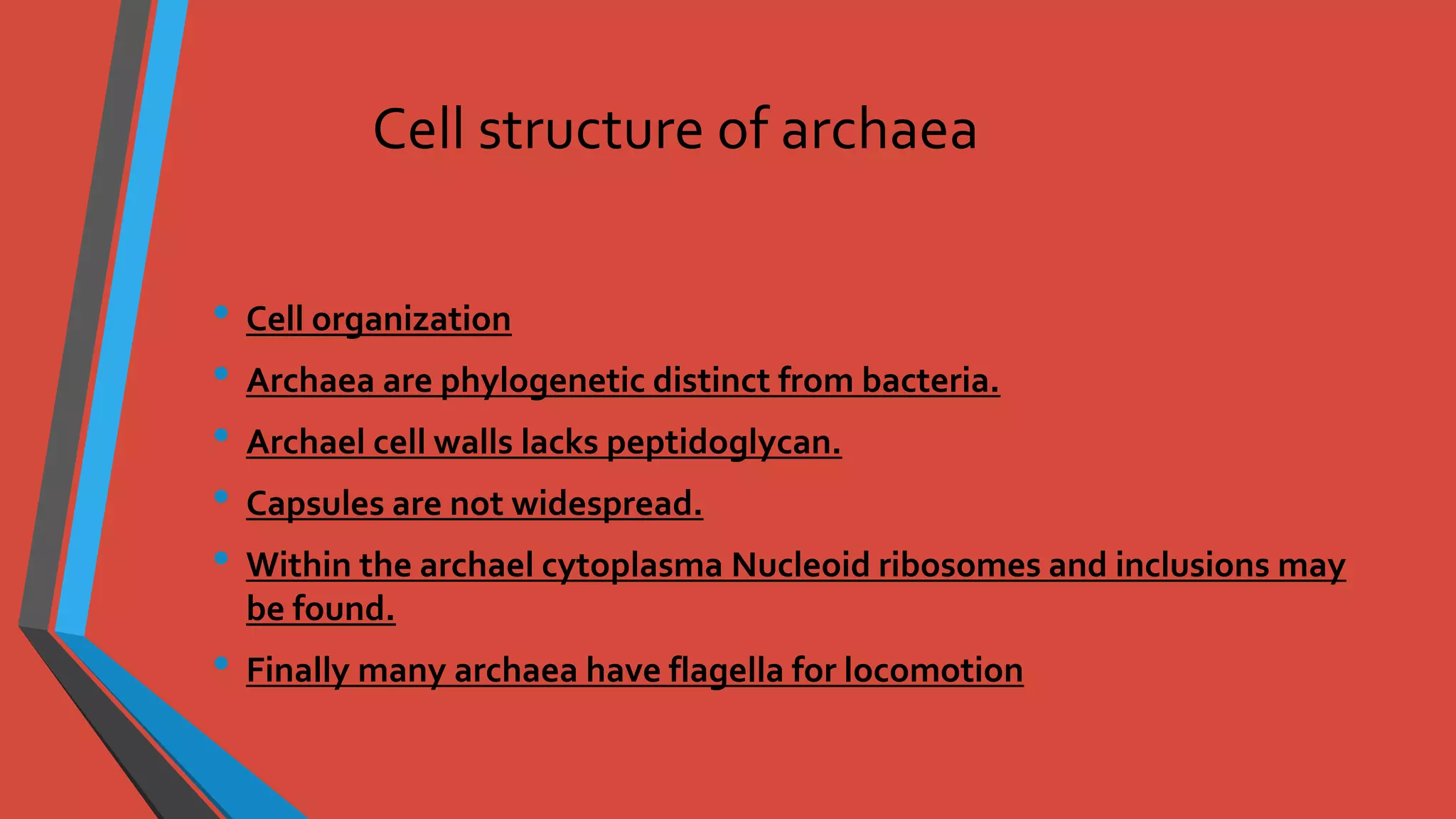 Morphology and cell structure of Archea | PPTX