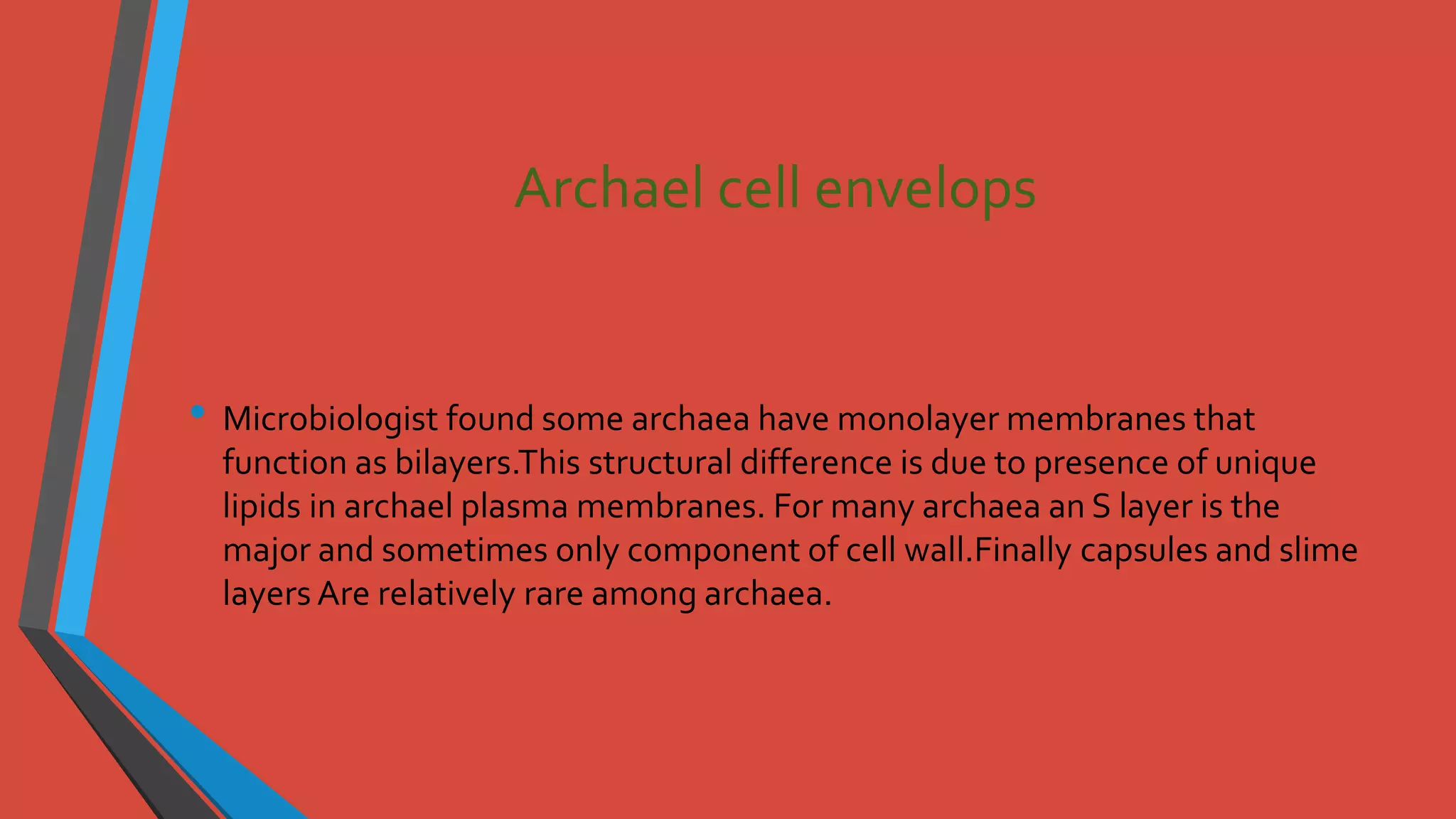 Morphology and cell structure of Archea | PPTX