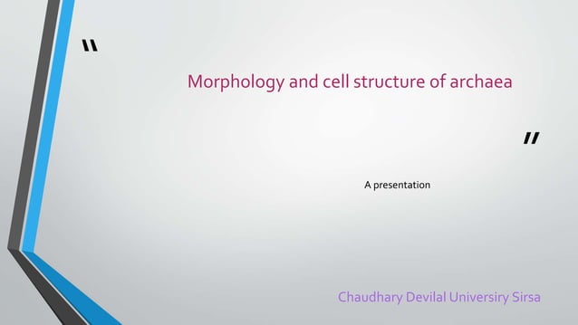 Morphology and cell structure of Archea | PPTX