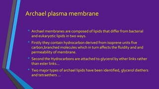 Morphology and cell structure of Archea | PPTX