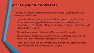 Morphology and cell structure of Archea | PPTX