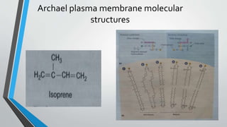 Morphology and cell structure of Archea | PPTX