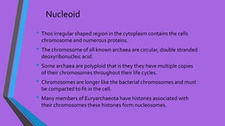 Morphology and cell structure of Archea | PPTX