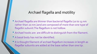 Morphology and cell structure of Archea | PPTX