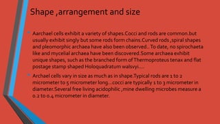 Morphology and cell structure of Archea | PPTX