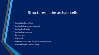 Morphology and cell structure of Archea | PPTX