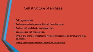 Morphology and cell structure of Archea | PPTX