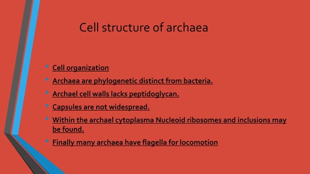 Morphology and cell structure of Archea | PPTX