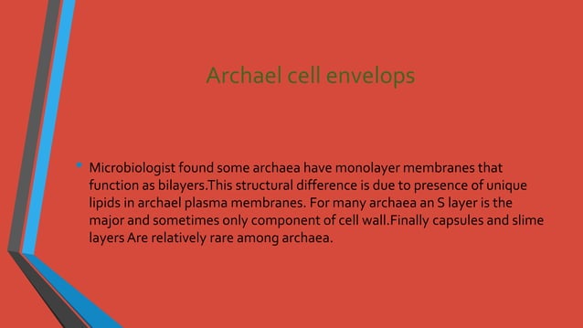 Morphology and cell structure of Archea | PPTX