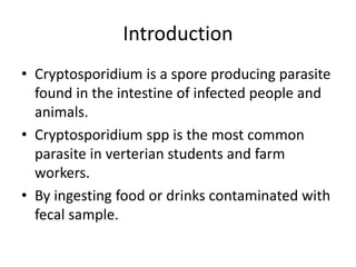 Detection of Cryptospordium | PPT