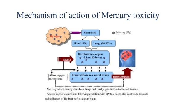 Toxicity of Heavy Metals