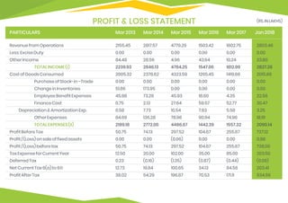 Company Overview - Bright Solar Limited | PDF