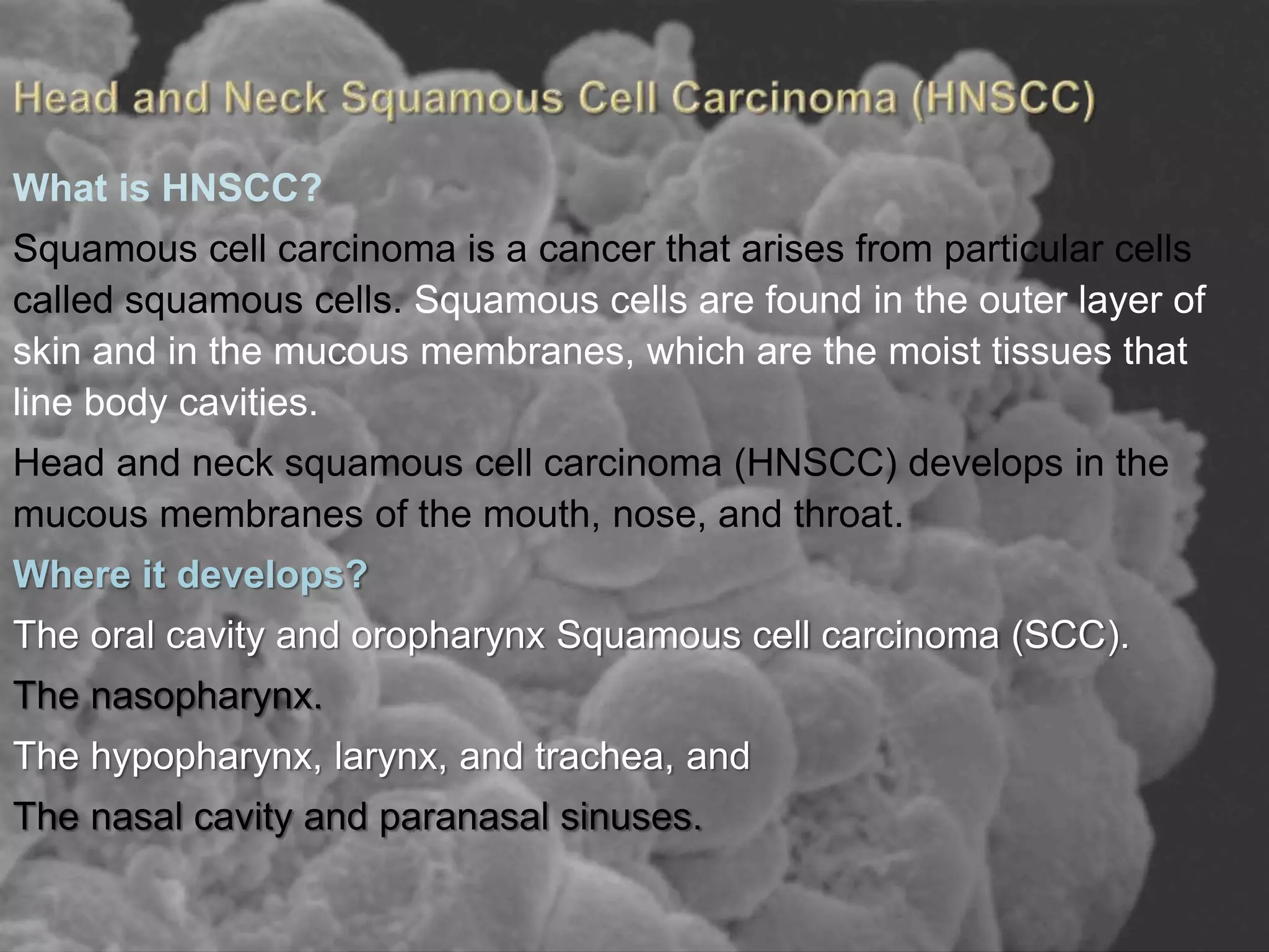 Presentation on Identification of different histopathological grade and expression analysis of ...