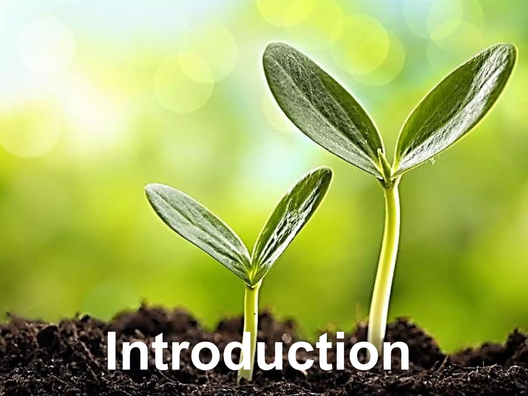 SALT TOLERANCE IMPROVEMENT OF HORTICULTURAL CROPS THROUGH SEED PRIMING | PPT