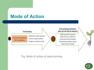SALT TOLERANCE IMPROVEMENT OF HORTICULTURAL CROPS THROUGH SEED PRIMING | PPT