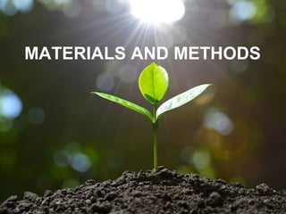 SALT TOLERANCE IMPROVEMENT OF HORTICULTURAL CROPS THROUGH SEED PRIMING | PPT