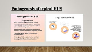 hemolytic uremic syndrome | PPTX