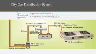 City Gas Distribution (CGD) should be a tool for developing Smart ...