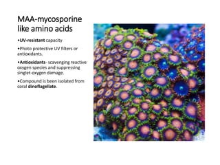 Bioactive compounds from Corals | PPT