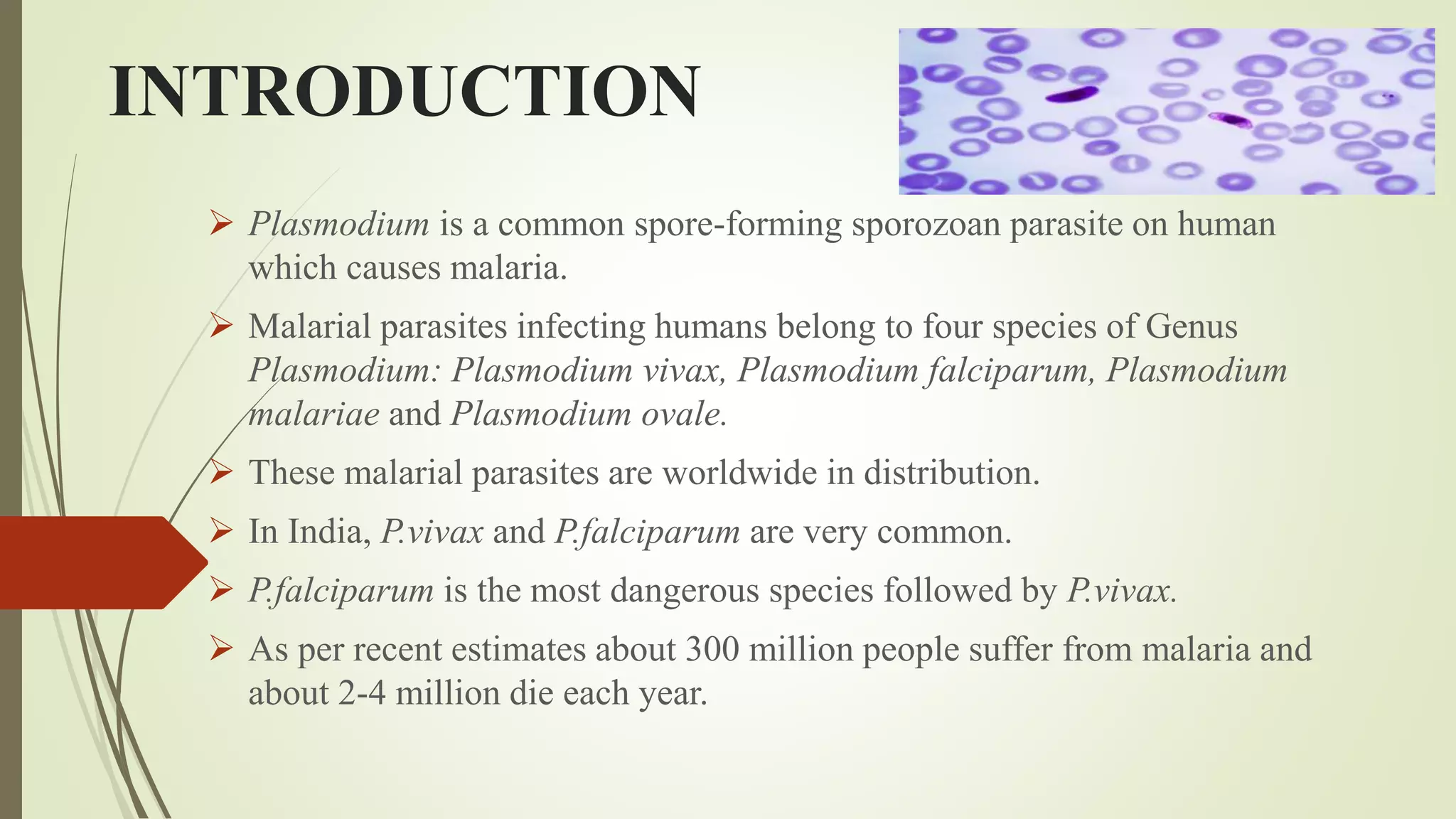 Life Cycle of Plasmodium. | PPTX