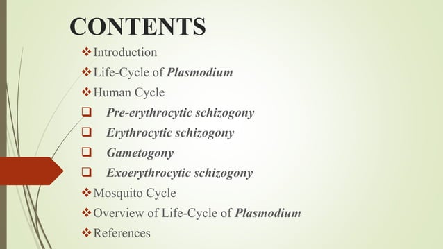 Life Cycle of Plasmodium. | PPTX