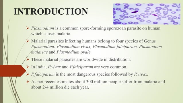 Life Cycle of Plasmodium. | PPTX