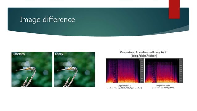 Comparison between Lossy and Lossless Compression | PPTX