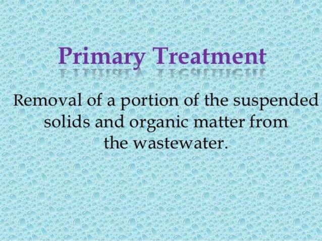 STP Operation Presentation | PPTX